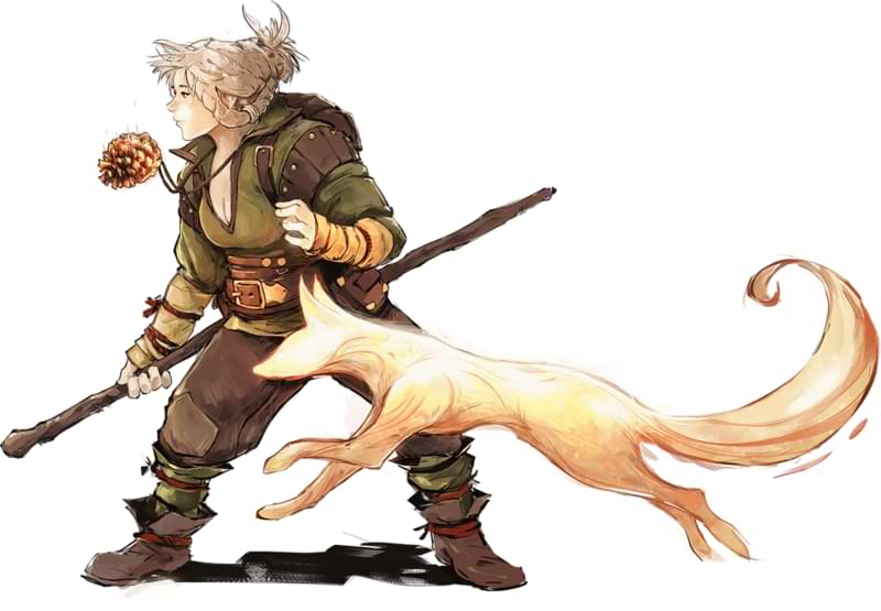 Druid 101: Circle of Wildfire From Tasha's Cauldron of Everything ...