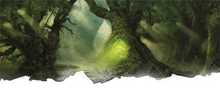 Druid 101: Circle of the Moon - Posts - D&D Beyond