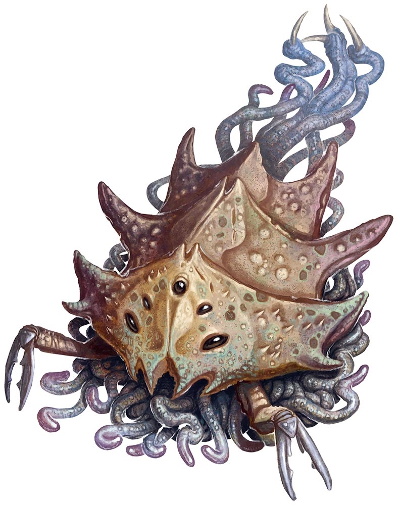 Monsters for Dungeons & Dragons (D&D) Fifth Edition (5e) - D&D Beyond